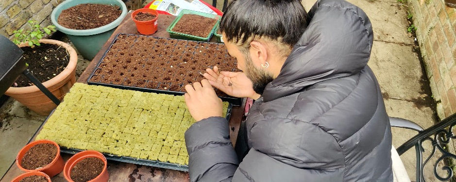 How to sow seeds effectively