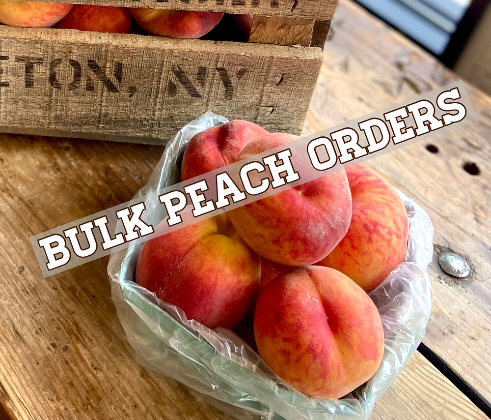 Now Taking Orders for Bulk Freestone Peaches!