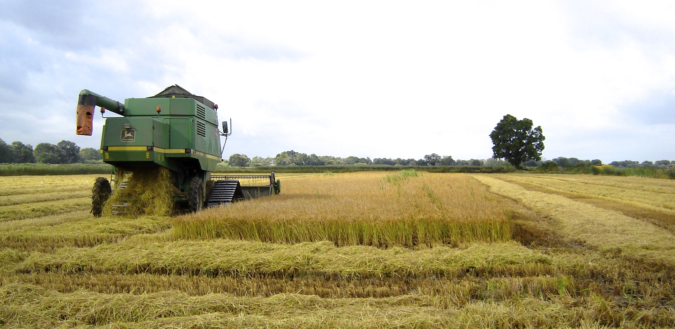 Visite exploitation rizicole Camargue | SARL La Maison du Riz | France