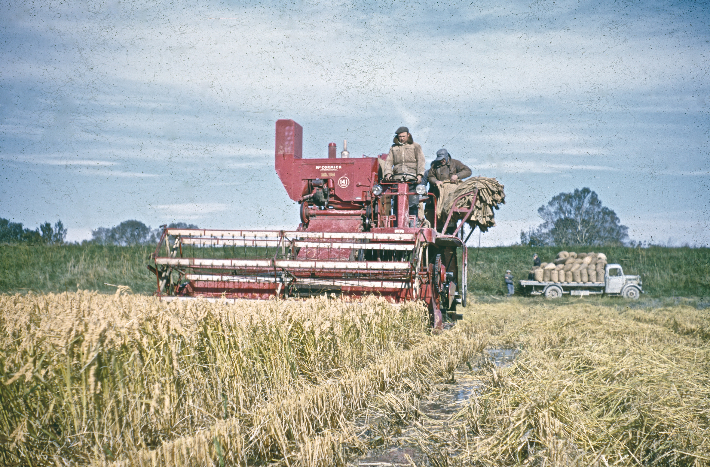 Visite exploitation rizicole Camargue | SARL La Maison du Riz | France