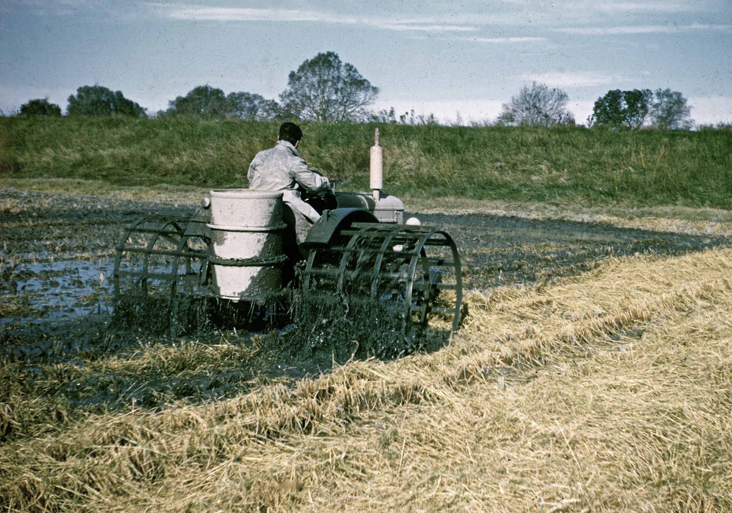 Visite exploitation rizicole Camargue | SARL La Maison du Riz | France
