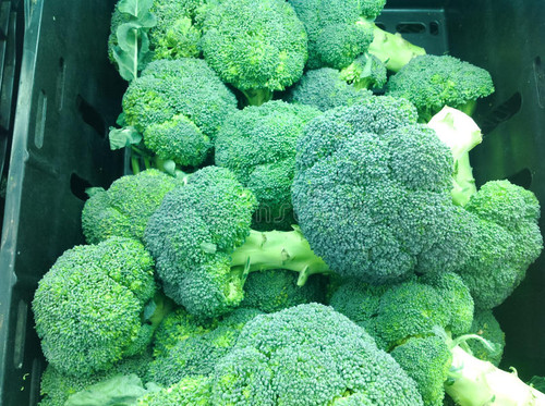 Fresh Broccoli 500 grams (1/2 kilo) | My Site