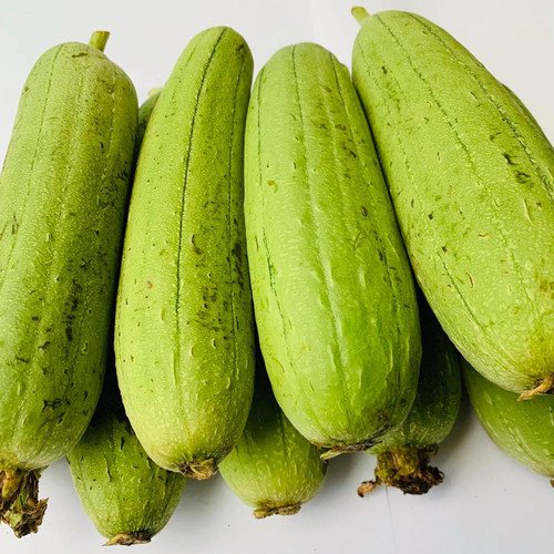 Fresh Loofah 500 grams (1/2 kilo) | My Site