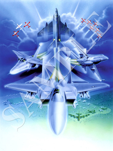 F15 Phantom Front and Centre (Original Painting) | Heritage Art