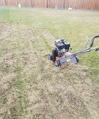 Turf Therapy Lawn Services | Lawn Services