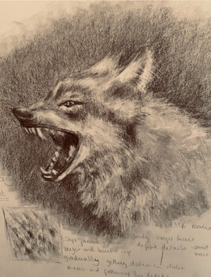 Morag Hamilton Art School | All levels