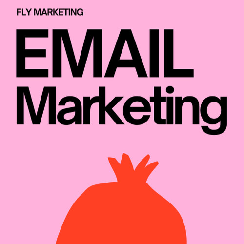 Start Email Marketing in 2024: Ultimate Guide | Fly Marketing