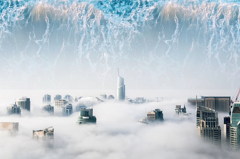 O MUNDO IDEAL X O MUNDO REAL.