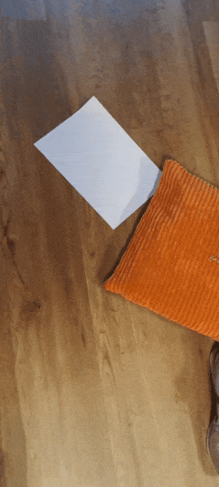 The Pause - Field Lab