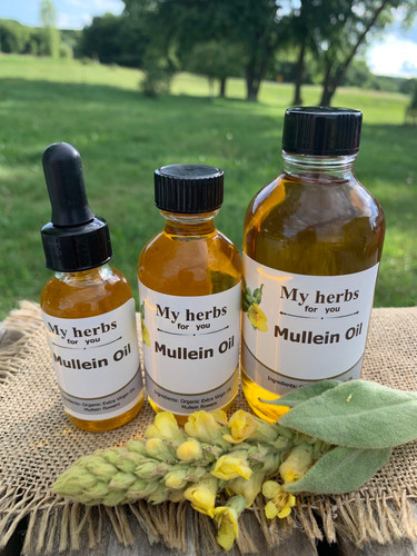 Mullein Oil, Organic | Myherbsforyou