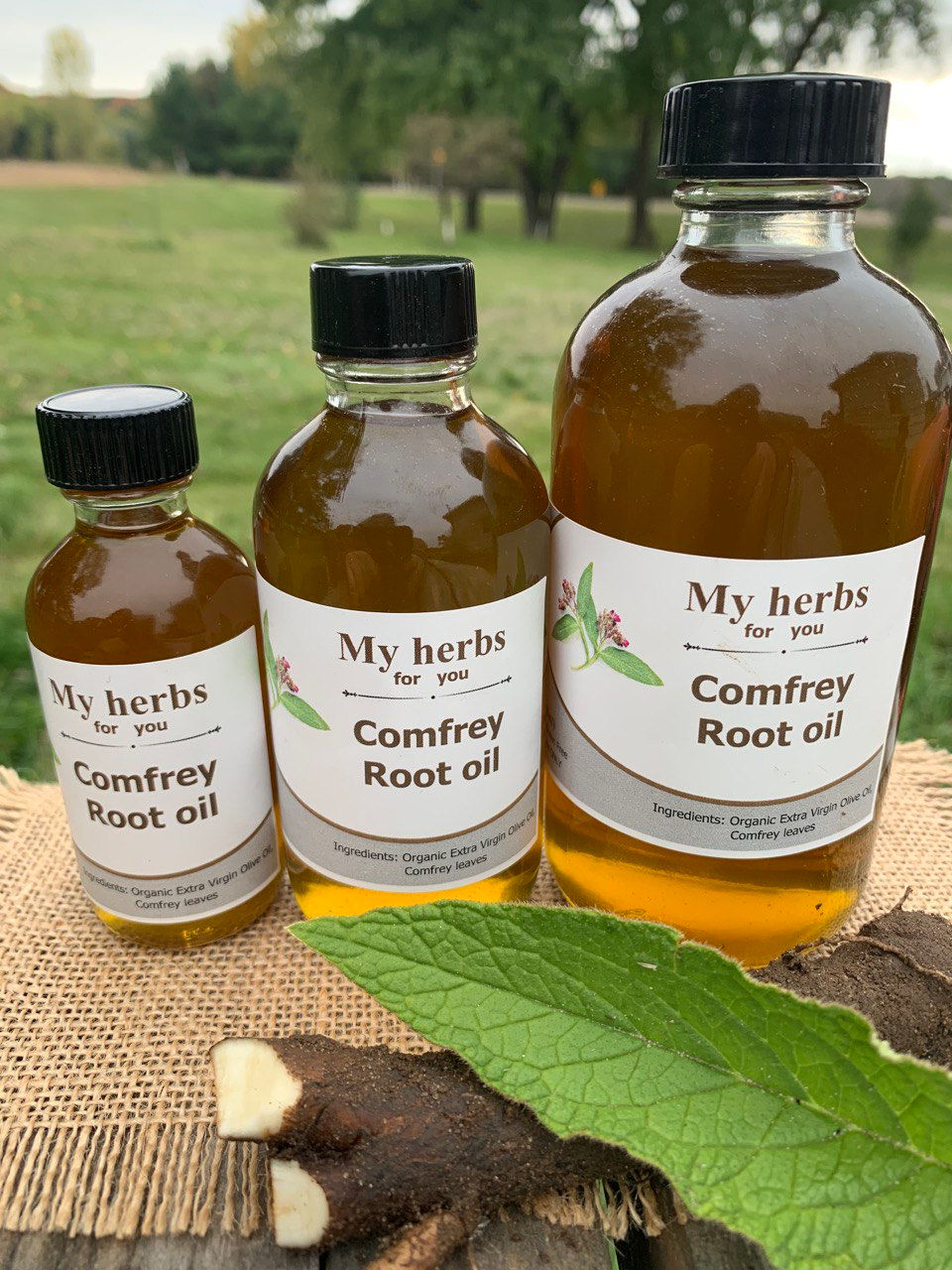 Comfrey Root Oil, Organic | Myherbsforyou