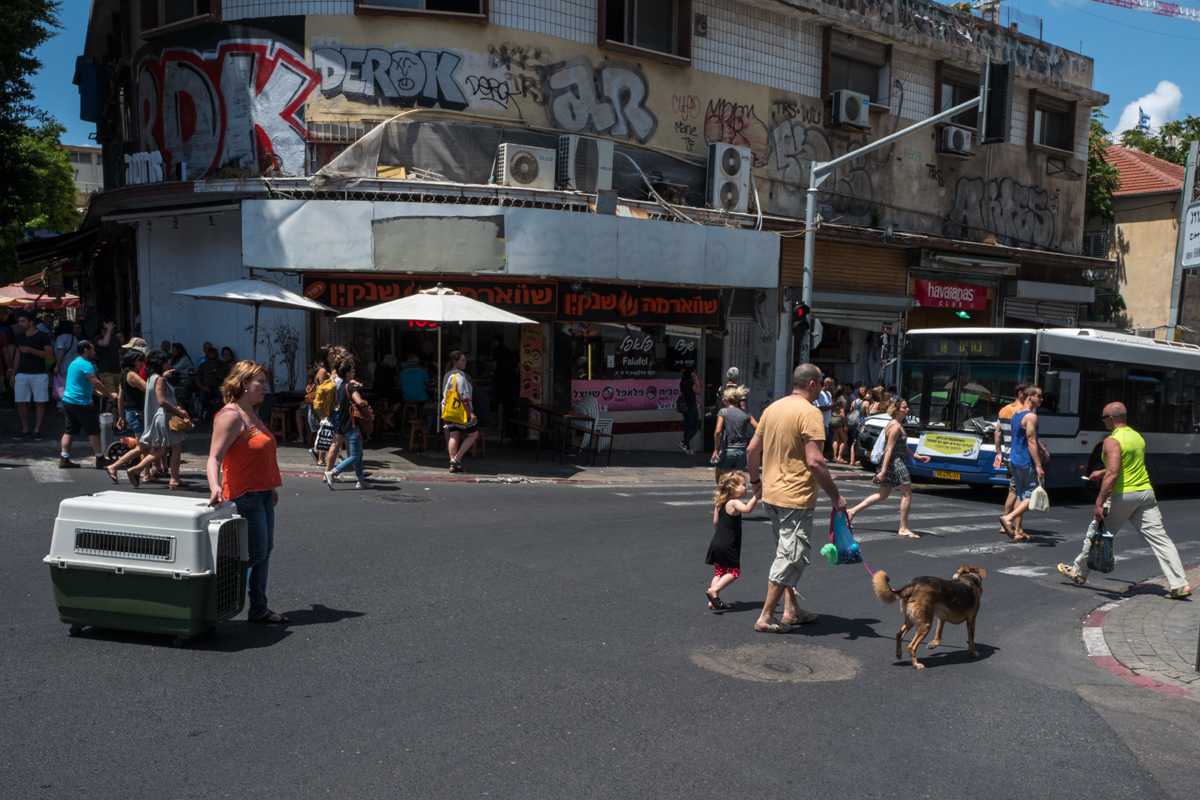 Urban Jungle | sagi-k