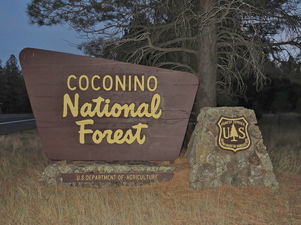 Coconino National Forest | Sustainable Auto