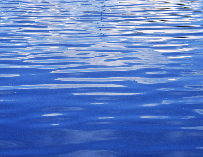 Drowning victim located at Lake Carlos