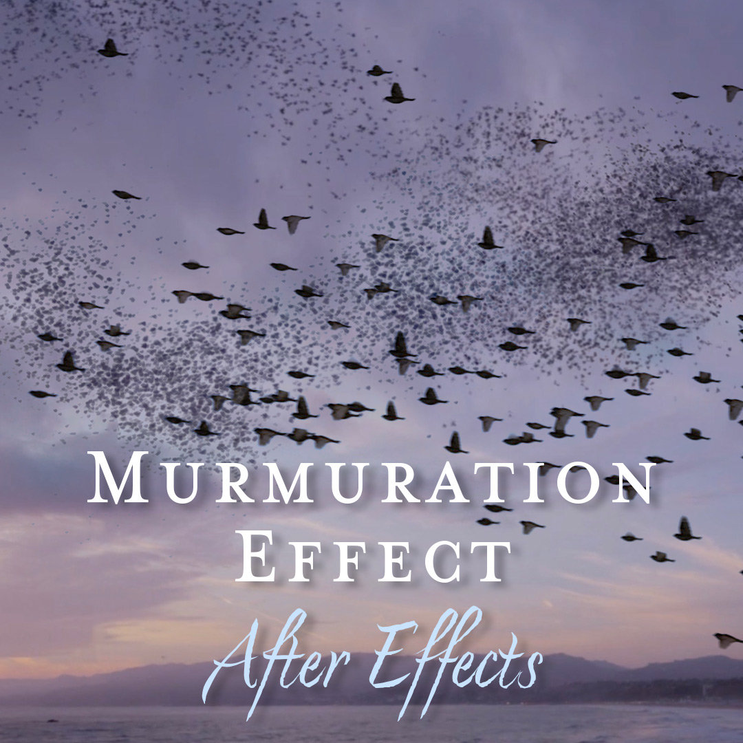 Murmuration Effect