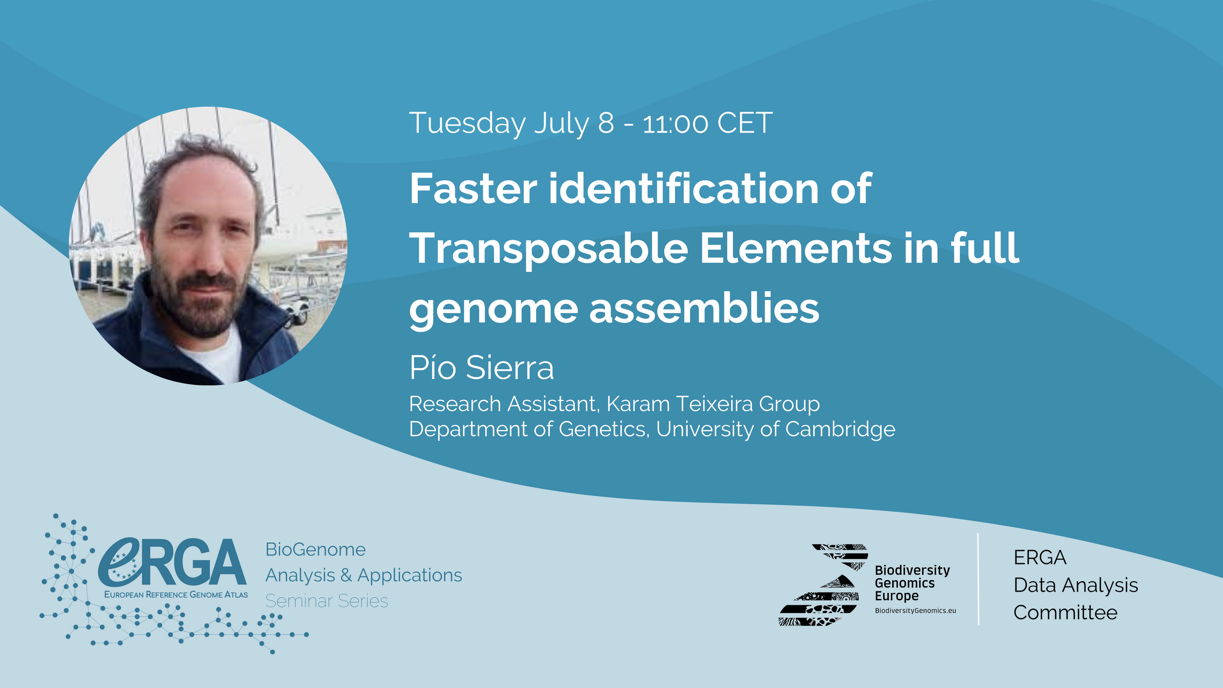 Faster identification of Transposable Elements in full genome assemblies