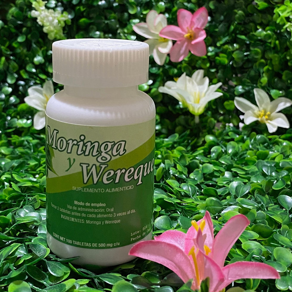MORINGA Y WEREQUE | JoyNatura
