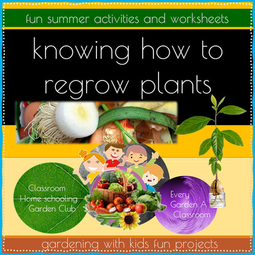 Learning how to regrow plants | Kid Can Garden