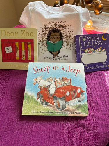 Welcome Baby Book Box | Books Inside Boxes