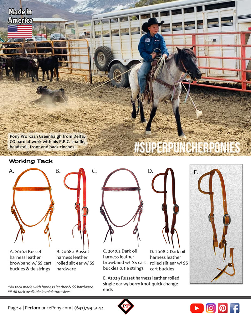 VIEW CATALOG | performance-pony-co