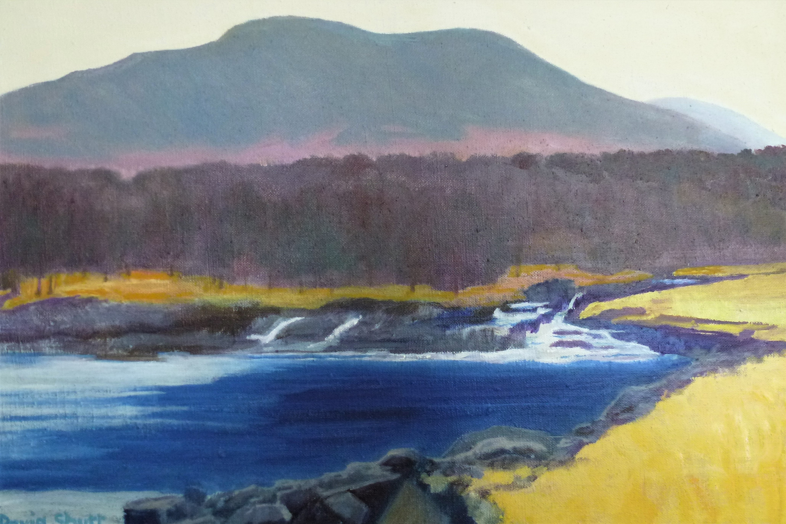 David Shutt | Felix & Spear