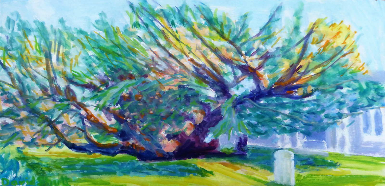 David Shutt | Felix & Spear