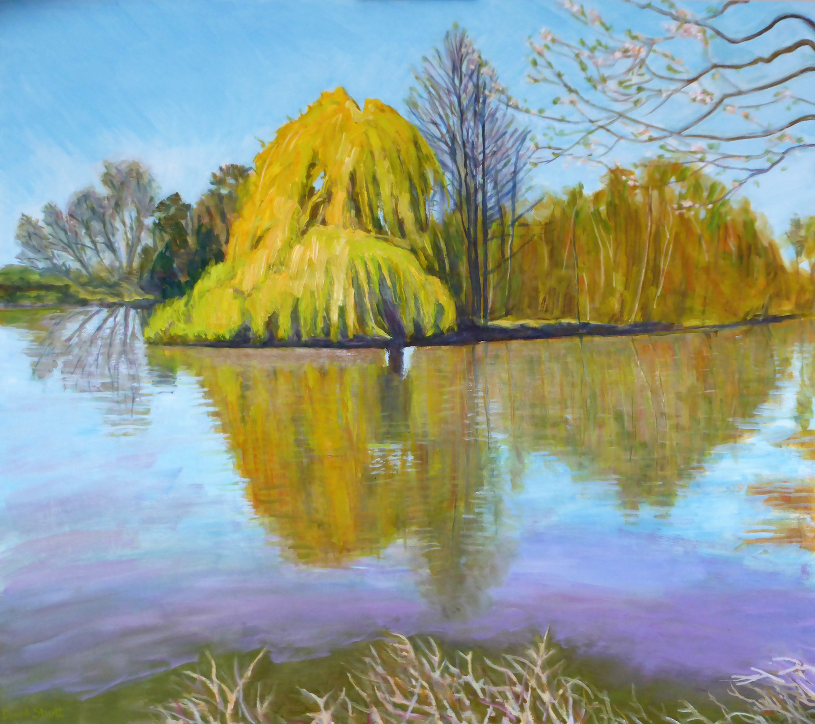 David Shutt | Felix & Spear