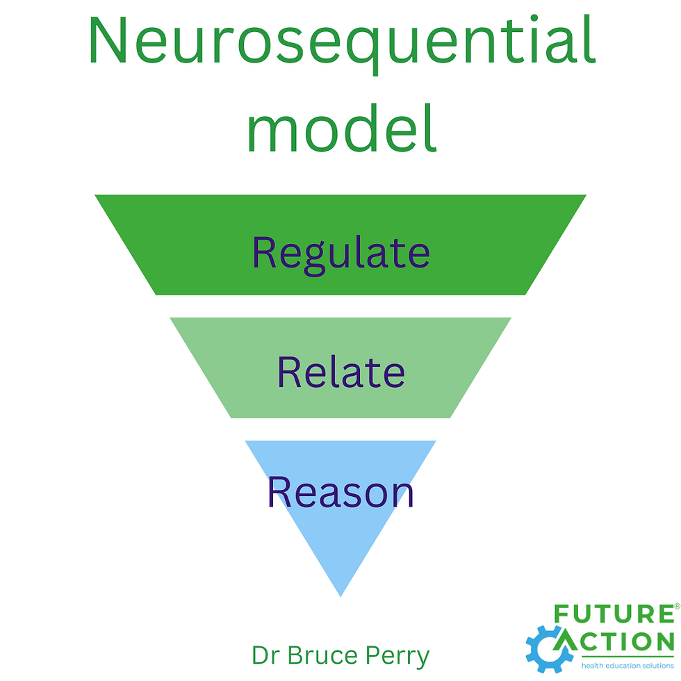 Trauma Informed Insights: How to transform behaviour outcomes through ...