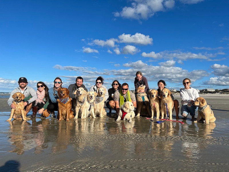 Home | Golden Retriever Meetups in Massachusetts