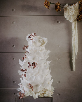 PORTFOLIO | The Sweet Society Co