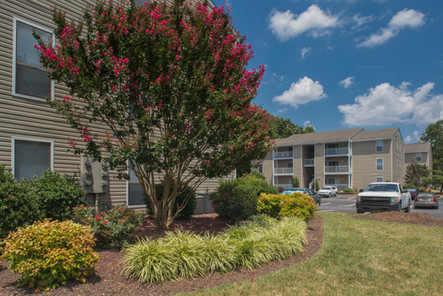 GALLERY | Hunters Mill