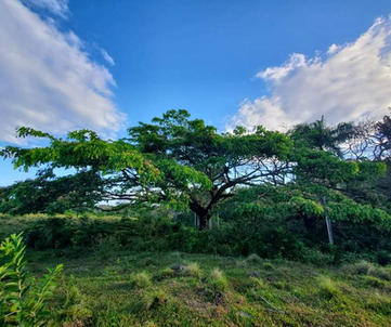 GALLERY | newcambium