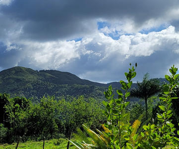 GALLERY | newcambium