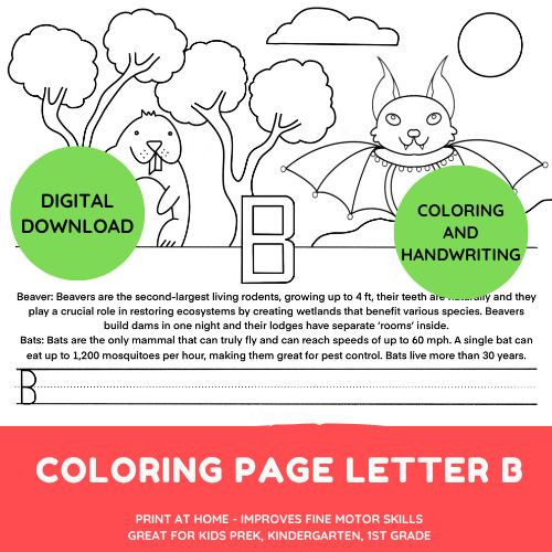 Bat Beaver Coloring Pages, B Letter Alphabet Coloring Page, Digital ...