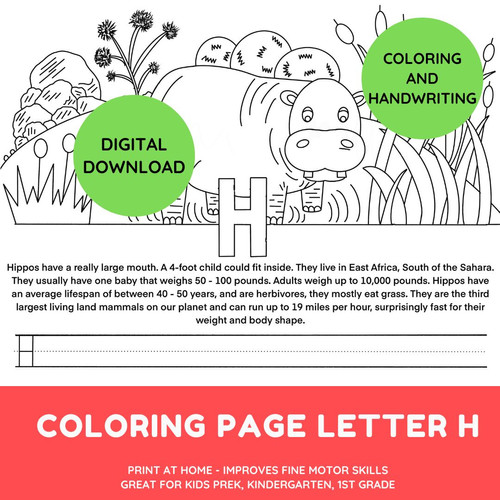 Hippo Alphabet Coloring Page for Kids | Fancy Pencils