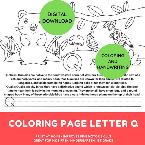 Quokka and Quail Coloring Pages for Kids | Fancy Pencils