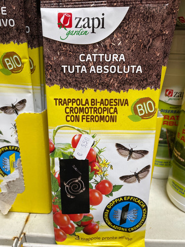 Trappola Bi-Adesiva Cromotropica - tuta absoluta | Lineaagricoltura