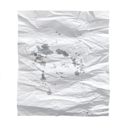 princess diana in slice of ham | Dion Kitson