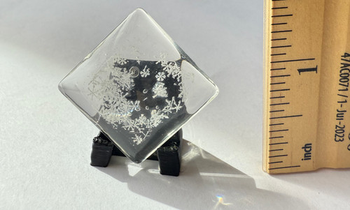 Display-25 Glass/Preserved Snowflake | Preserved Snowflake CO