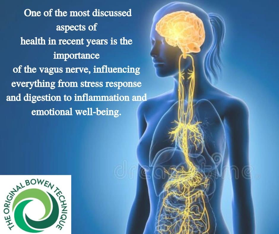 “Your Diaphragm Is Stuck in Survival Mode — Here’s How Bowen Therapy ...