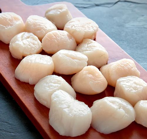 Dry Sea Scallops | TFF Outlet Store