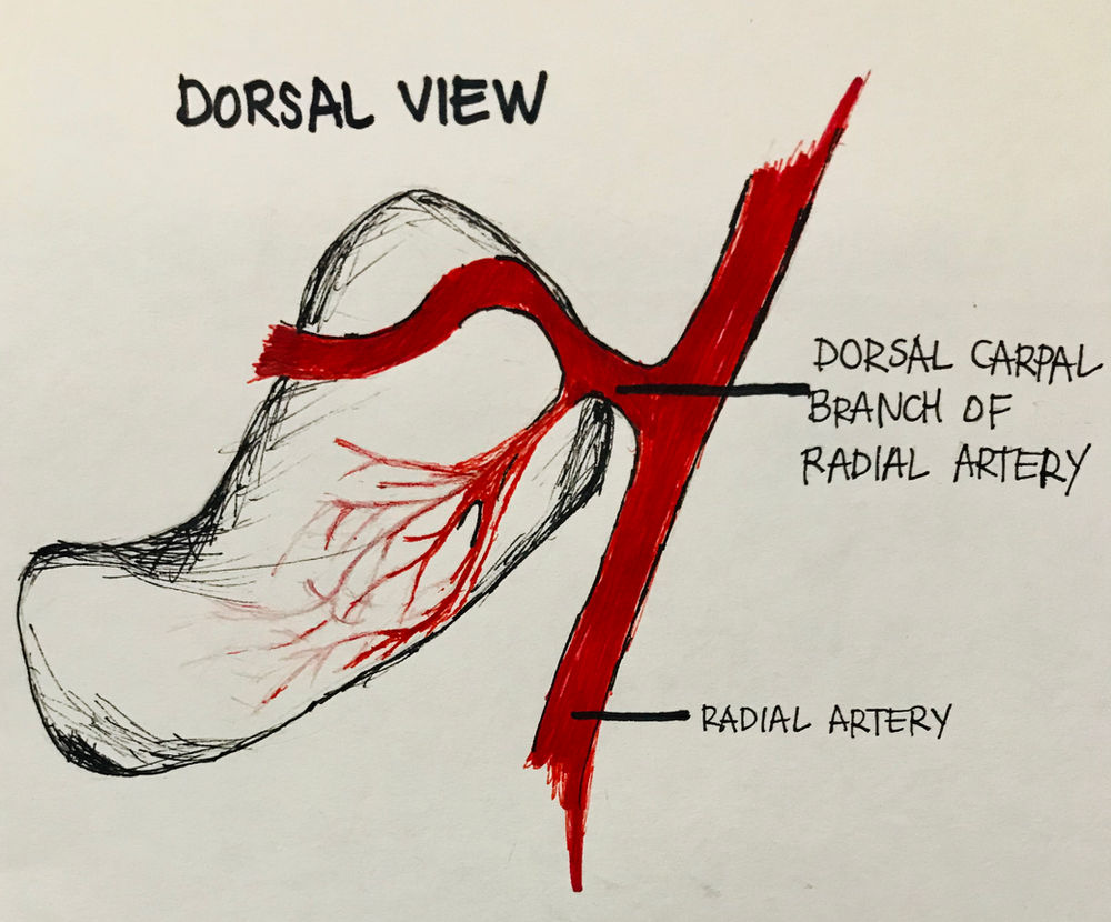 Scaphoid tubercle and waist fracture