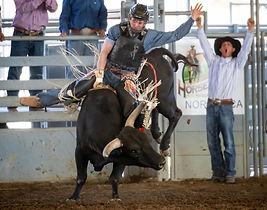 Junior Bull Riders | Norco Horseweek
