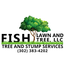 Services | Fish Lawn and Tree, LLC