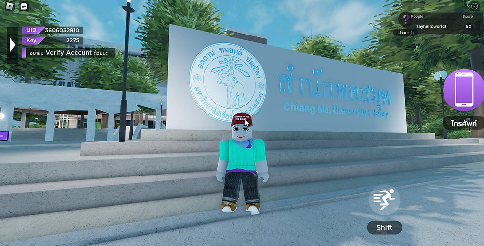 CMU Roblox | NDF web