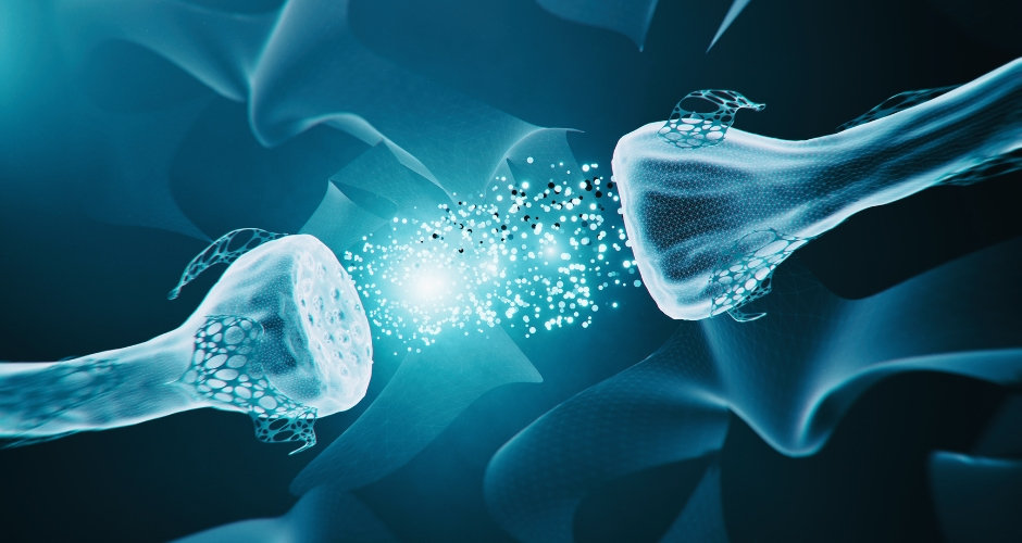 Innovative MS Research | New drug research differs from existing MS ...