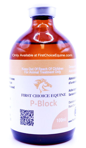 P-Block 100ml | First Choice Equine