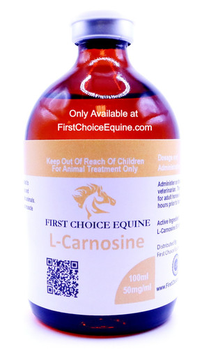 L-Carnosine (Physine) 50mg/ml 100ml | First Choice Equine