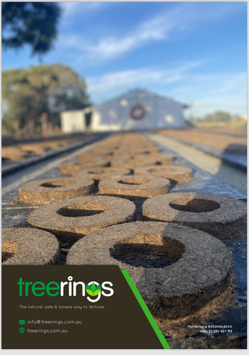 Tree Rings | Vari-Skilled