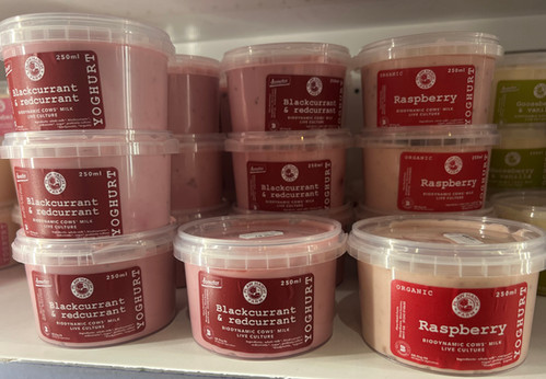 Seasonal Fruit Yoghurt pots | St Michael Coop